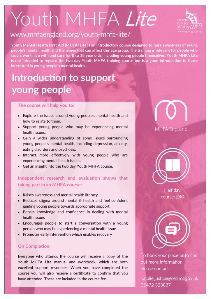 Youth MHFA Lite training – VANEL